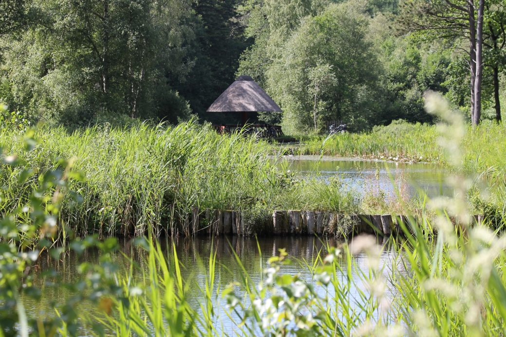 Gemeindeportrait – Gemeinde Leck