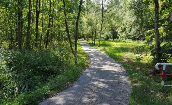 Gemeinde Leck – …zum Glück gibt's Leck!