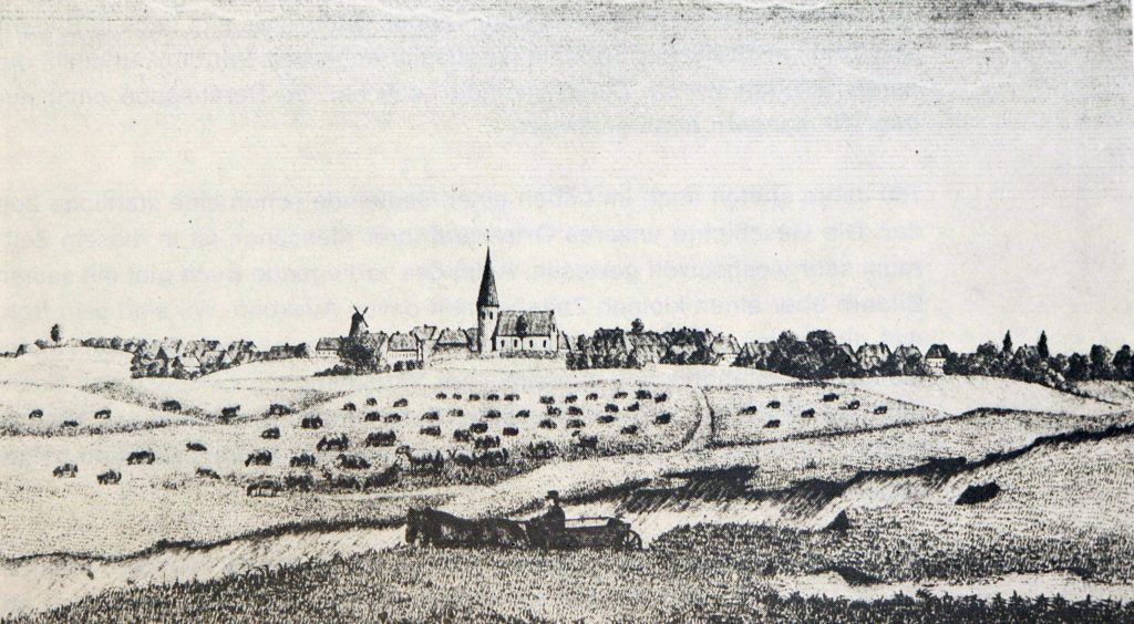 Geest und Marsch – Gemeinde Leck