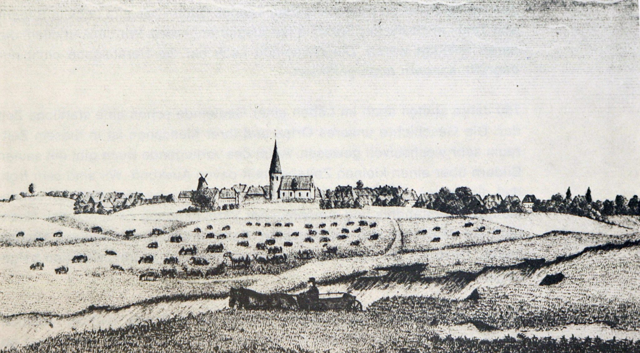 Geest und Marsch – Gemeinde Leck